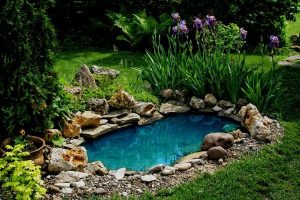 Pond Builders for your Water Garden Escape | Toronto & GTA